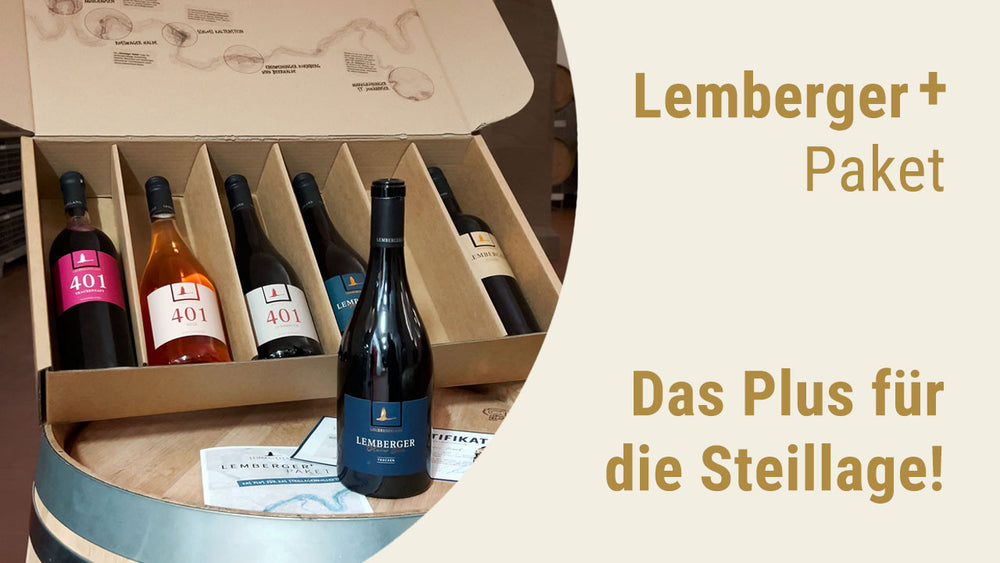 Ross & Paul – Lembergerland