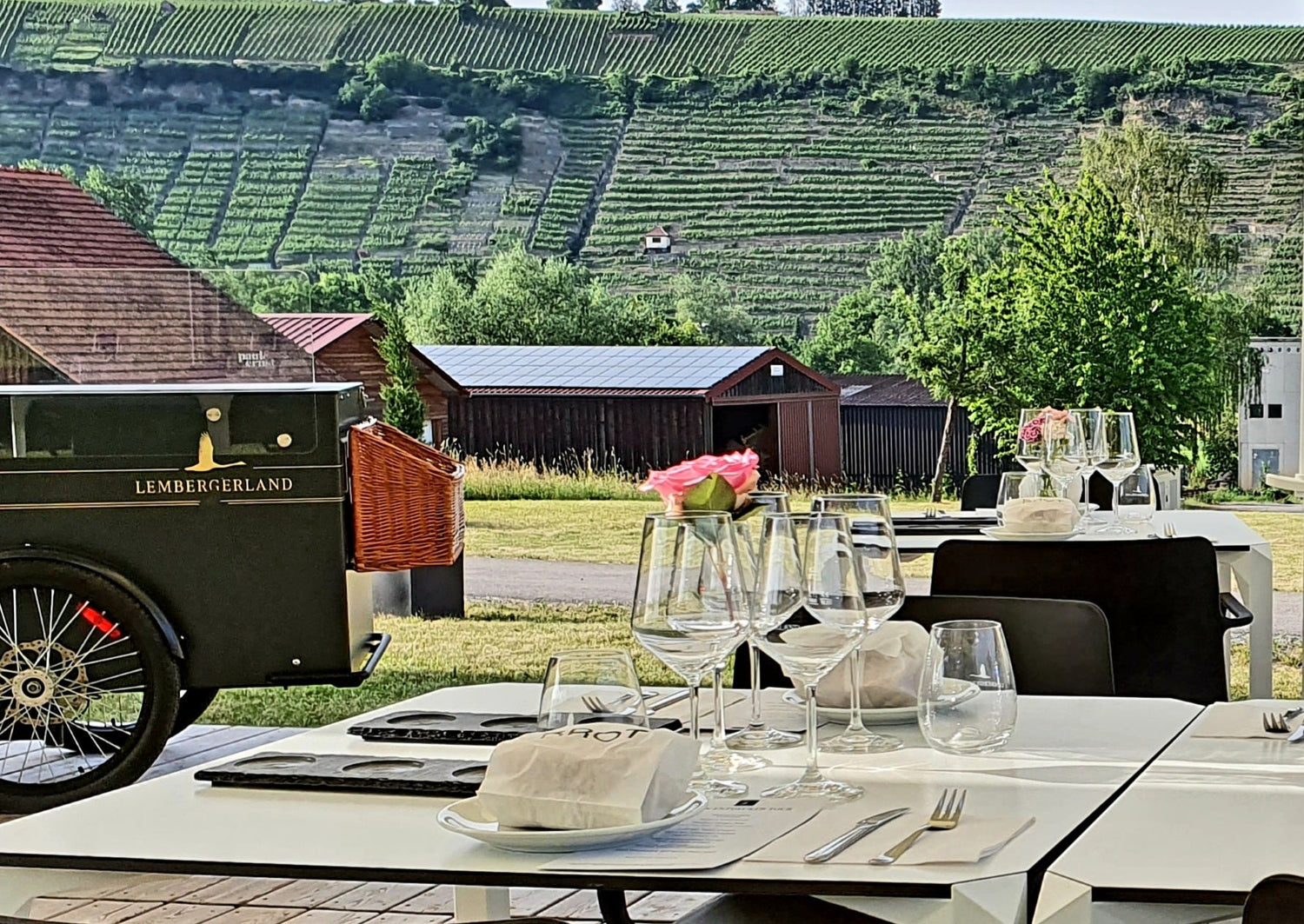 Wein_Erlebnisprobe - Ihre Individuelle Anfrage (Konfigurator) – Lembergerland